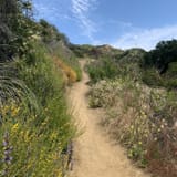 Trippet Ranch to Eagle Springs Loop Trail, California - 750 Reviews ...
