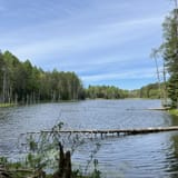 Tinker Falls Upper, New York - 386 Reviews, Map | AllTrails