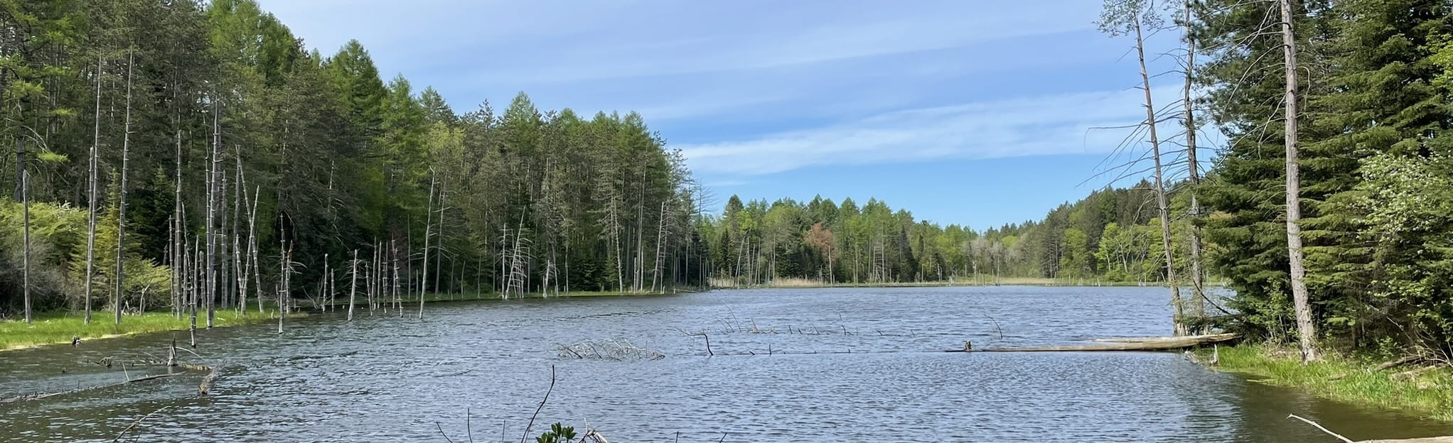 Spruce Pond: 111 Reviews, Map - New York | AllTrails