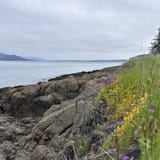 Washington Park Loop Road, Washington - 1,565 Reviews, Map | AllTrails