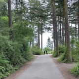 Washington Park Loop Road, Washington - 1,565 Reviews, Map | AllTrails
