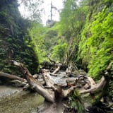 Miner's Ridge Trail, Clintonia Trail, and Gold Bluffs Beach Loop ...