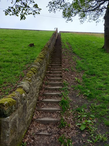 Best Hikes and Trails in Whitfield Valley Local Nature Reserve | AllTrails