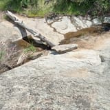 Way of the Mono Trail, California - 477 Reviews, Map | AllTrails