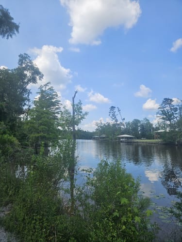 Best Hikes and Trails in Sam Houston Jones State Park | AllTrails