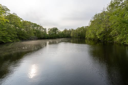 Best Hikes and Trails in Hewitt Farm | AllTrails