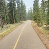 Palliser Pathway, Alberta, Canada - 122 Reviews, Map | AllTrails