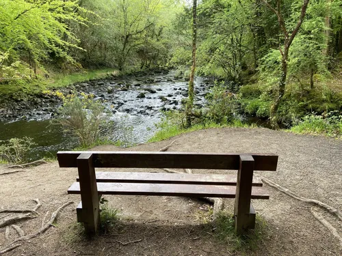 Best Hikes and Trails in Tourmakeady Woods | AllTrails