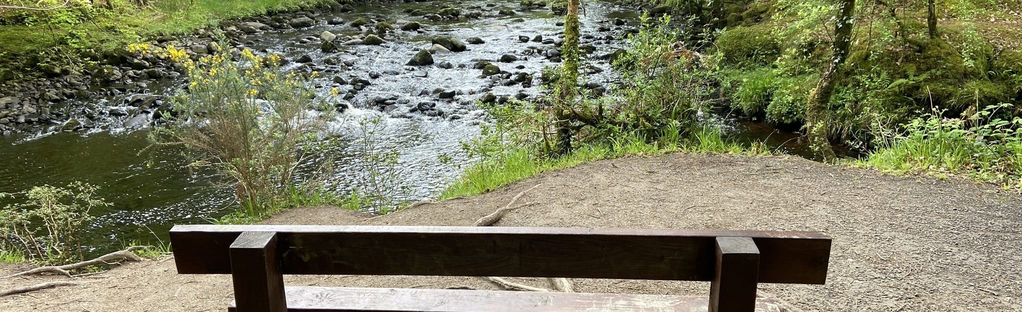 Tourmakeady Falls, County Mayo, Ireland - 17 Reviews, Map | AllTrails