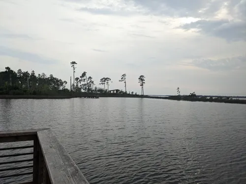 Best Hikes and Trails in Lynn Haven Bayou Preserve and Park | AllTrails