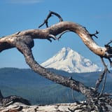 Catherine Creek Arch Loop, Washington - 889 Reviews, Map | AllTrails