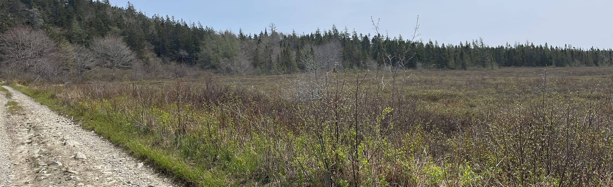 Sand Pond Trail, Nova Scotia, Canada - 5 Reviews, Map | AllTrails