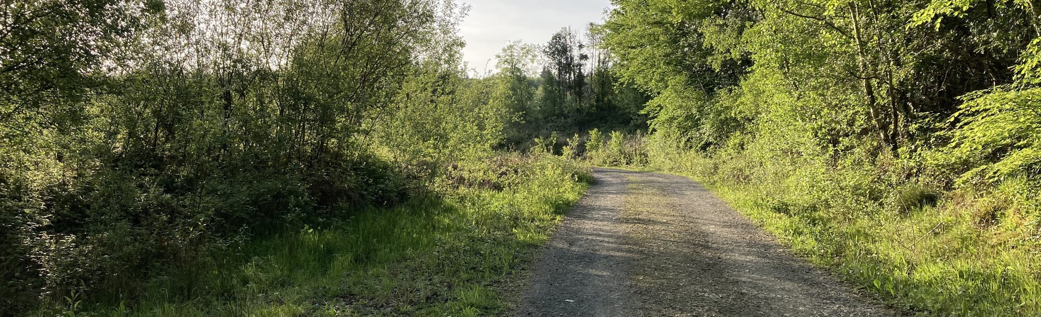 Cratloe Loop: 164 fotos - County Clare, República da Irlanda | AllTrails