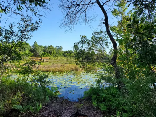 Best Hikes and Trails in Hal Scott Preserve | AllTrails