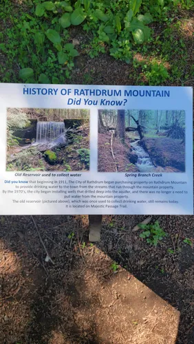 2023 Best Wild Flowers Trails in Rathdrum | AllTrails