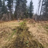 Moon Lake Trail, Manitoba, Canada - 248 Reviews, Map | AllTrails
