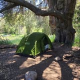 Barker Valley Spur Trail, California - 137 Reviews, Map | AllTrails