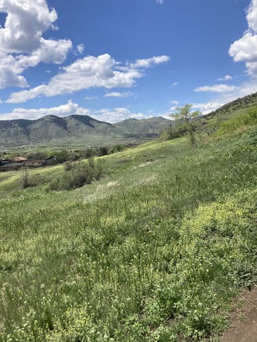 2023 Best Mountain Biking Trails in South Table Mountain Park | AllTrails