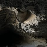 Boyd Cave, Oregon - 198 Reviews, Map | AllTrails