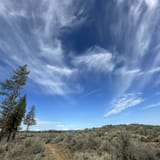 Boyd Cave, Oregon - 198 Reviews, Map | AllTrails