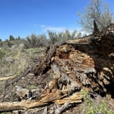 Boyd Cave, Oregon - 198 Reviews, Map | AllTrails