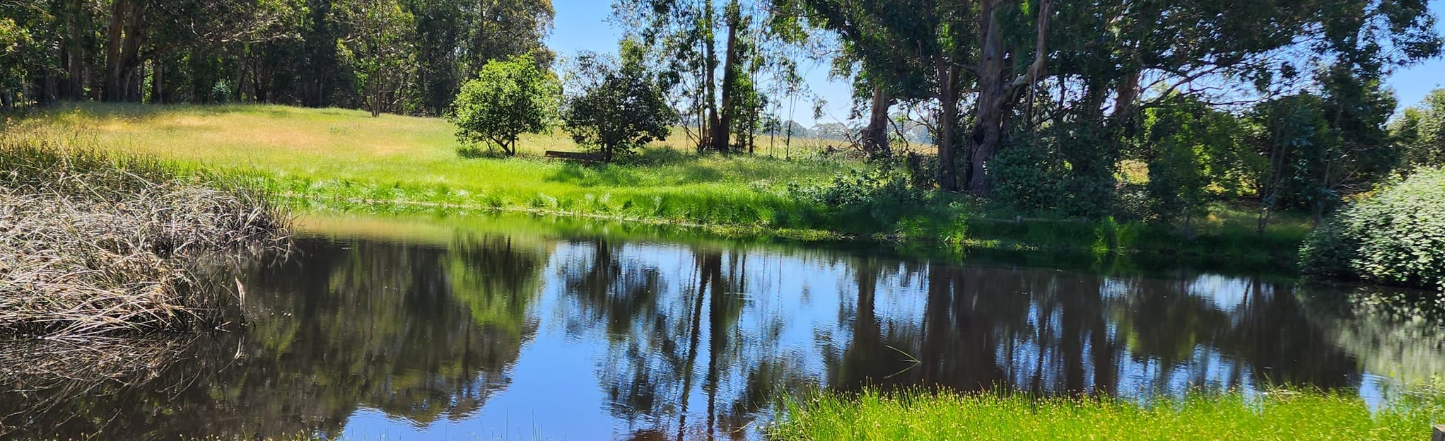 Bay View, Point Pinole, and Cooks Point Loop: 2179 Reviews, Map ...