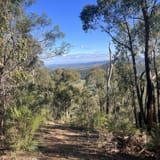 Long Gully Track Loop, Victoria, Australia - 58 Reviews, Map | AllTrails