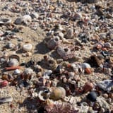 Quinninup Falls Track, Western Australia, Australia - 307 Reviews, Map ...