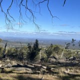 Mount Alexander Loop, Victoria, Australia - 383 Reviews, Map | AllTrails