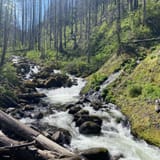 Oneonta Gorge Trail, Oregon - 658 Reviews, Map | AllTrails