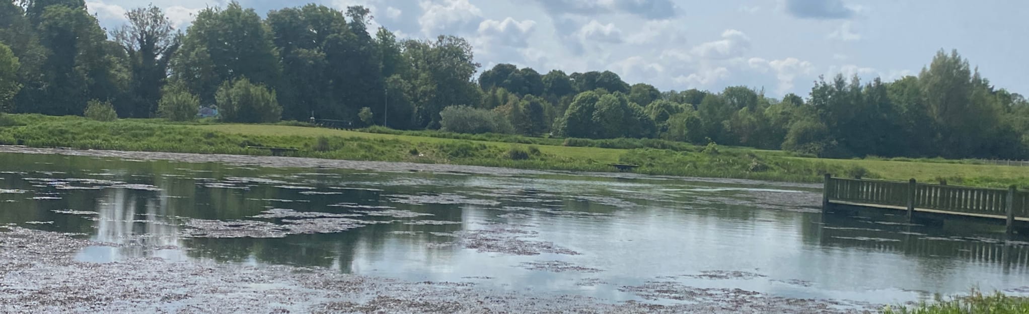 Corkagh Walk: 87 Reviews, Map - County Dublin, Ireland | AllTrails