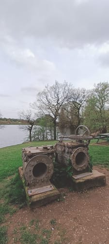 Timbersbrook: Die schönsten Wege und Wanderungen in 2023 | AllTrails