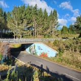 Te Rerenga Tunnel Trail, Bay of Plenty, New Zealand - 75 Reviews, Map ...