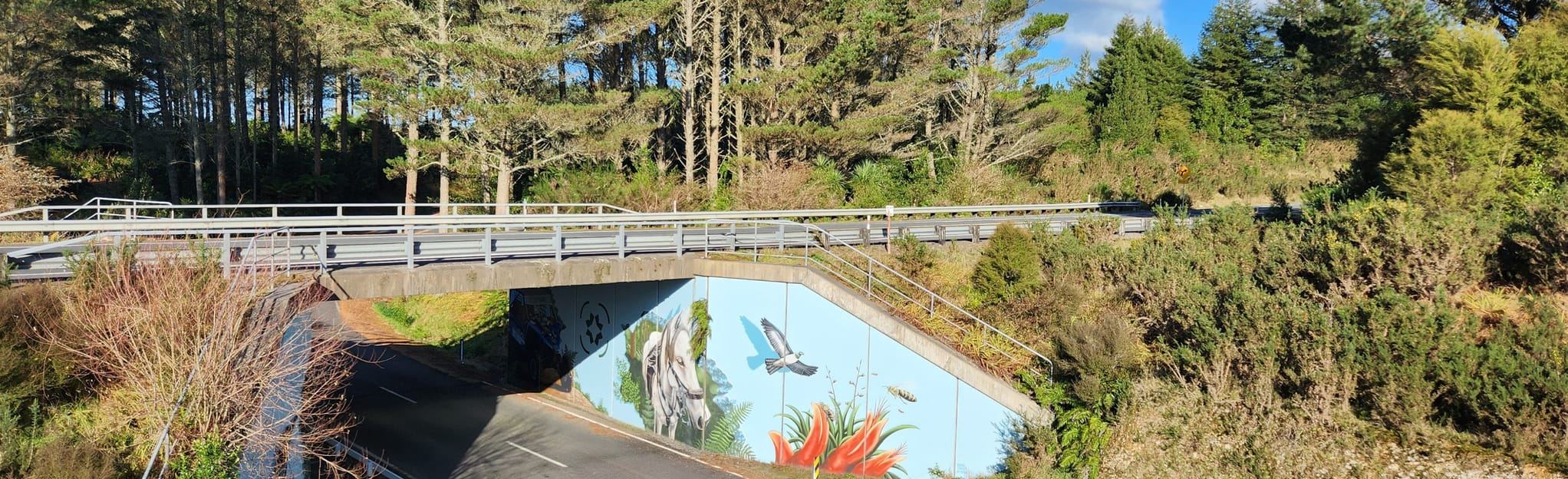 TECT Park Ultimate Loop Track, Bay of Plenty, New Zealand - Map, Guide ...