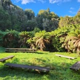 Te Rerenga Tunnel Trail, Bay of Plenty, New Zealand - 75 Reviews, Map ...