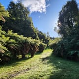 Te Rerenga Tunnel Trail, Bay of Plenty, New Zealand - 75 Reviews, Map ...