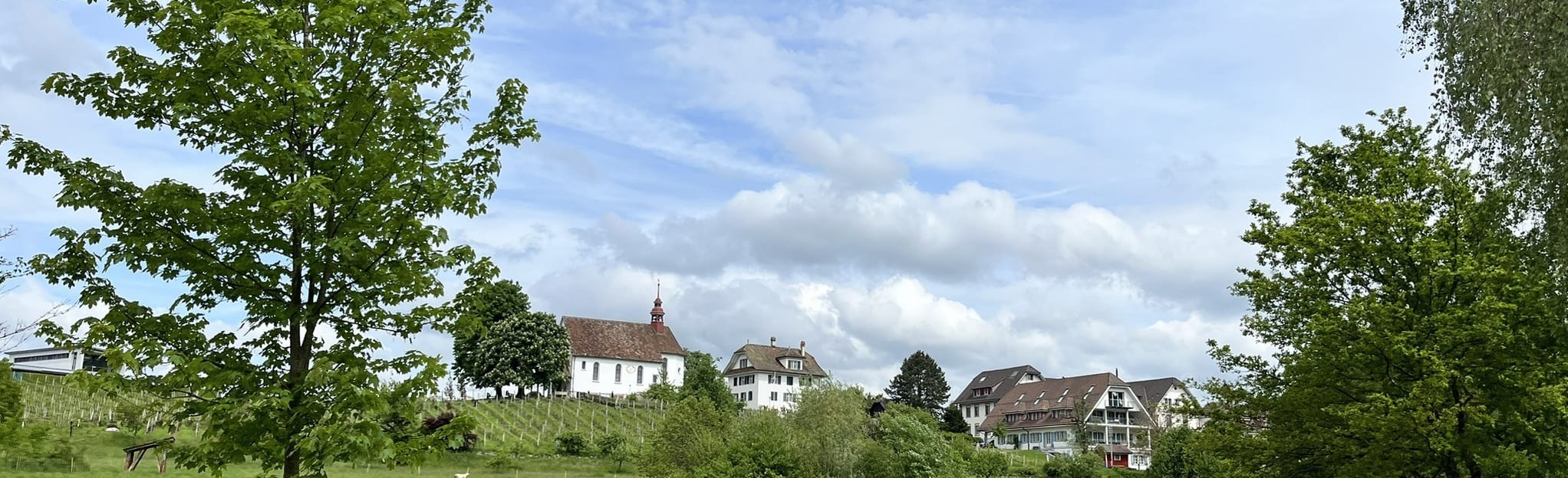 Sursee - Lac de Sempach - Nottwil : 7 Photos - Lucerne, Suisse ...