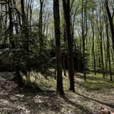 Morrison and Rimrock Trail Loop, Pennsylvania - 430 Reviews, Map ...