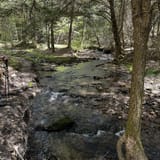 Morrison and Rimrock Trail Loop, Pennsylvania - 430 Reviews, Map ...