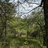 Morrison and Rimrock Trail Loop, Pennsylvania - 430 Reviews, Map ...