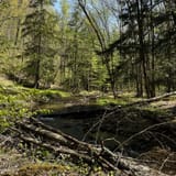 Morrison and Rimrock Trail Loop, Pennsylvania - 430 Reviews, Map ...