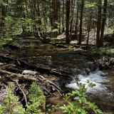 Morrison and Rimrock Trail Loop, Pennsylvania - 441 Reviews, Map ...