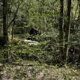 Morrison and Rimrock Trail Loop, Pennsylvania - 441 Reviews, Map ...