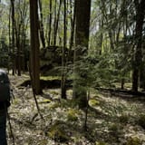 Morrison and Rimrock Trail Loop, Pennsylvania - 441 Reviews, Map ...