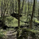 Morrison and Rimrock Trail Loop, Pennsylvania - 441 Reviews, Map ...