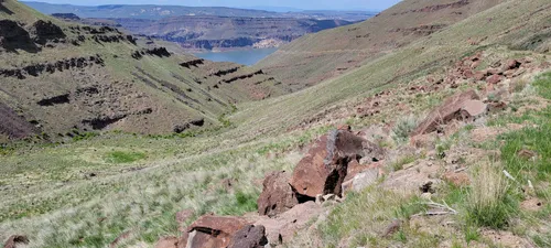 Best Hikes and Trails in Lake Owyhee State Park | AllTrails
