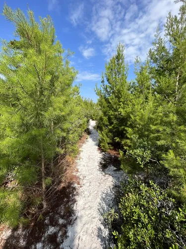 Best Hikes and Trails in Stuart | AllTrails