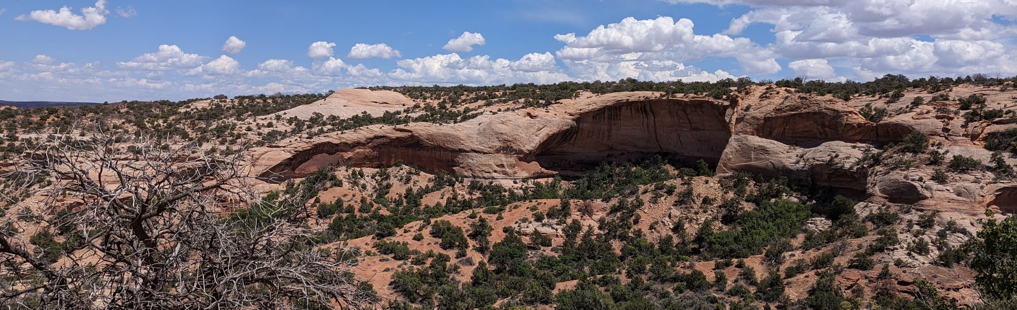 Neck Spring Trail, Utah - 564 Reviews, Map | AllTrails