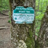 Springer Mountain, Georgia - 608 Reviews, Map | AllTrails