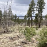 Gold Digger Trail to Two Spot Trail Loop, Arizona - 195 Reviews, Map ...